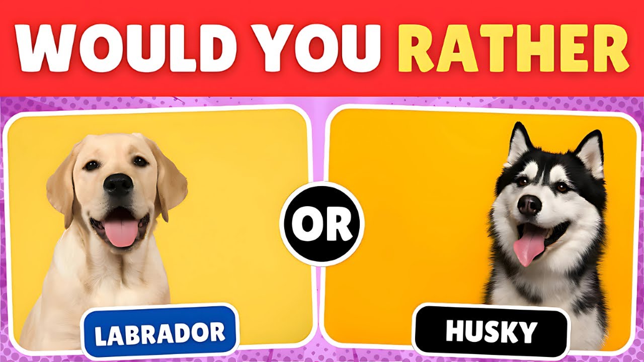 Would You Rather: Pets Edition Quiz 🐾 | Fun Choices for Animal Lovers ...