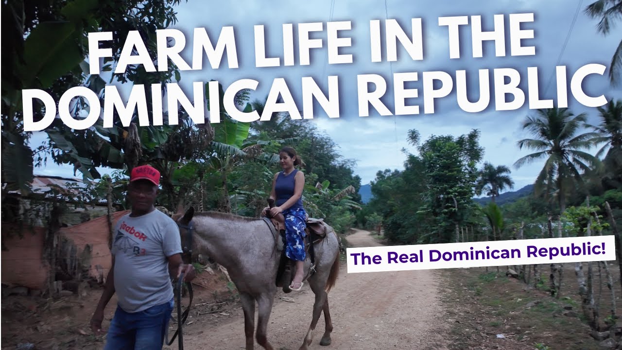 The Surprising Reality of Dominican Farm Life - YouTube