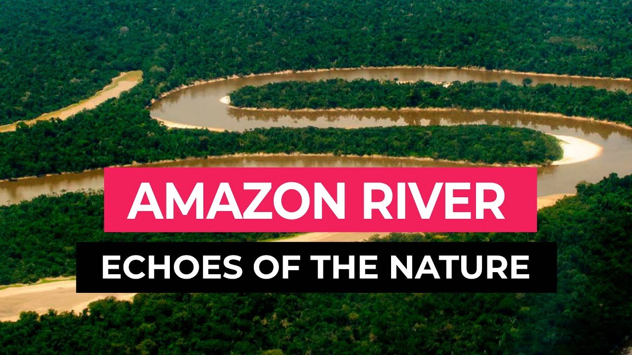 Amazon River | Echoes of the [Nature Relax Music] - YouTube