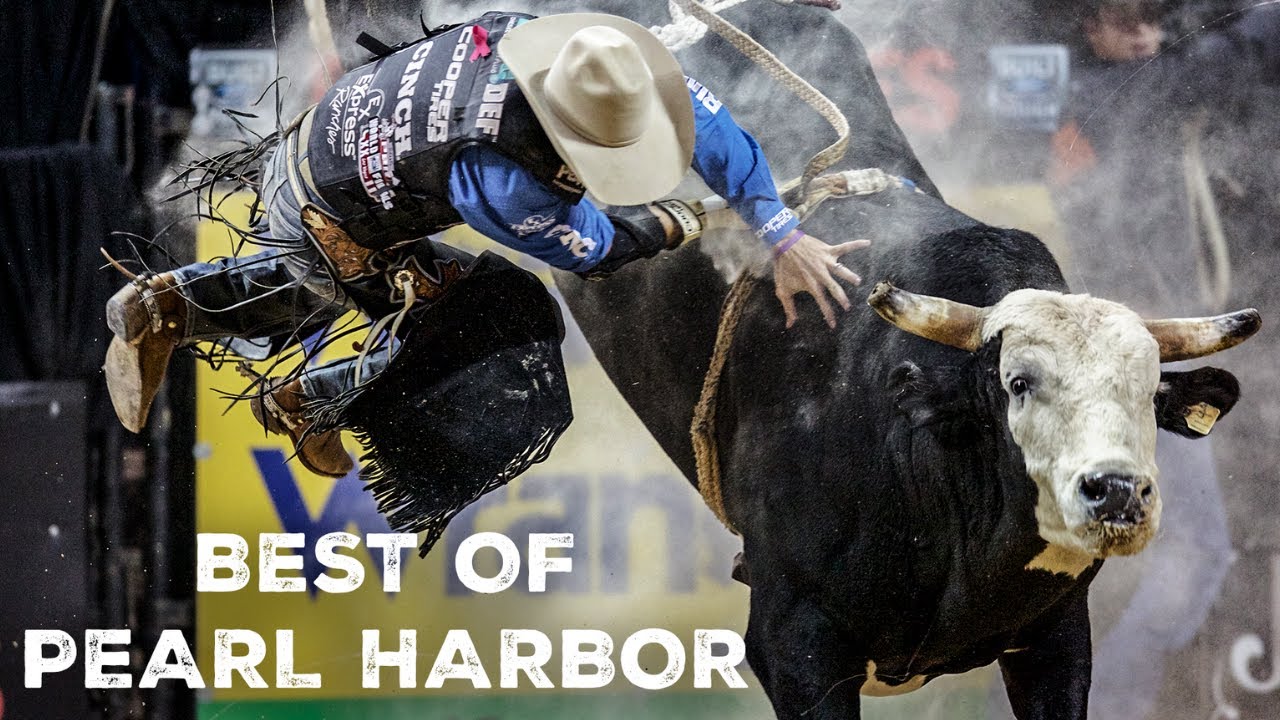 Best of PBR Bull Pearl Harbor | Remembering one of the Greats - YouTube
