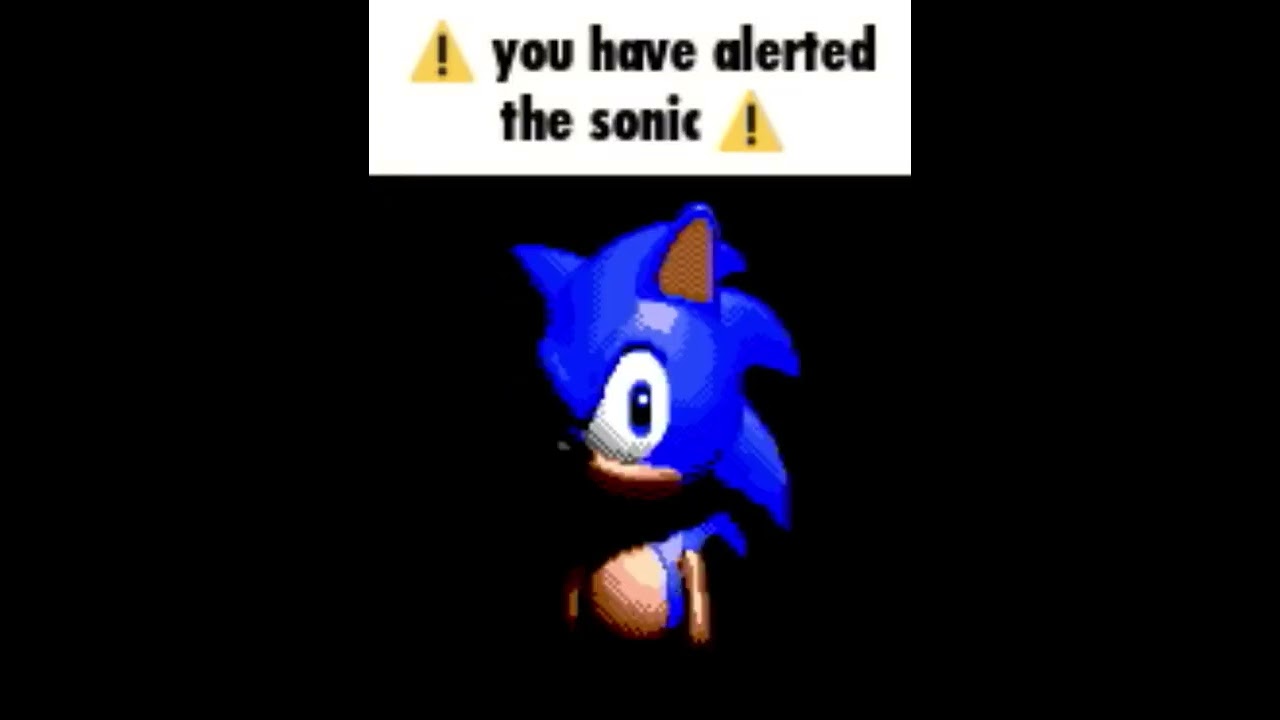 you have alerted the sonic - YouTube