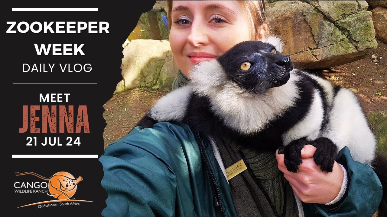 Rescuing Madagascar's Lemurs: Jenna's Mission at Cango Wildlife Ranch ...