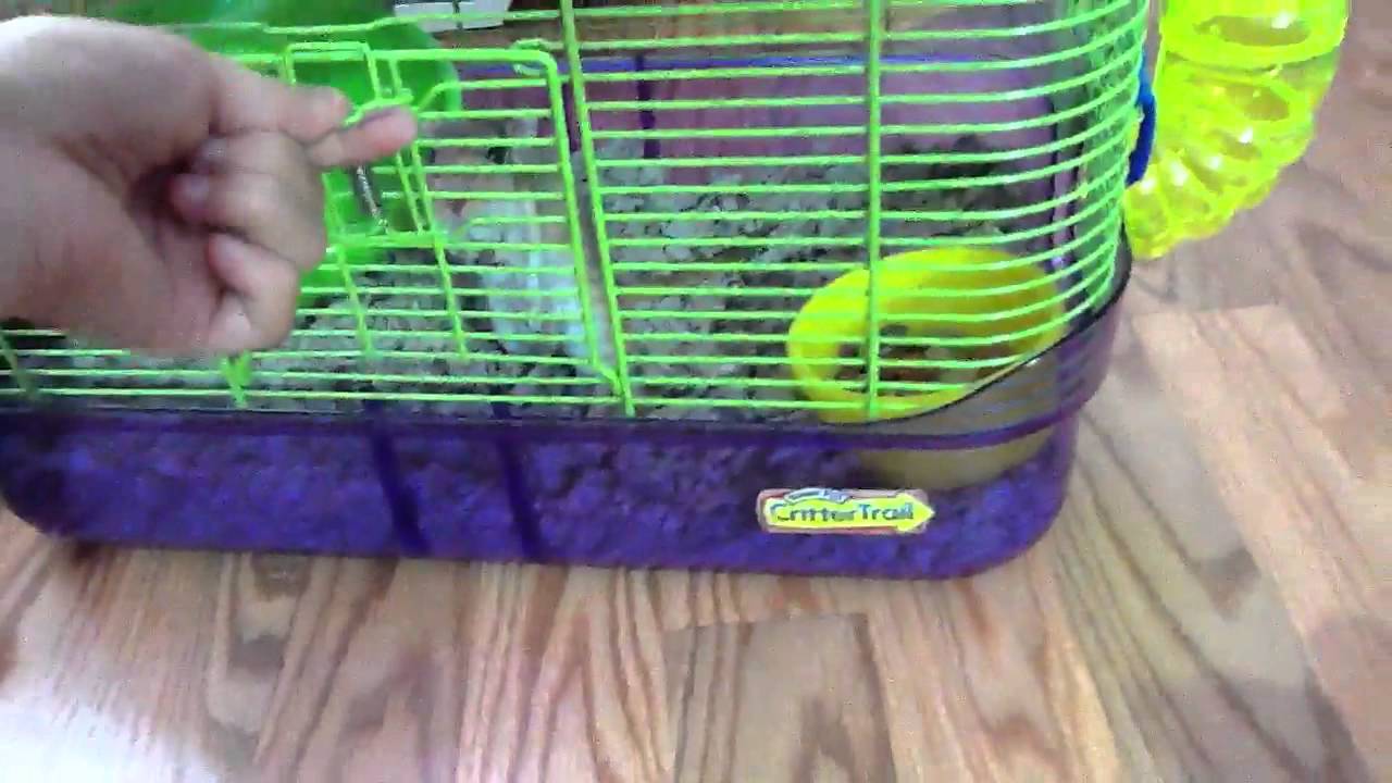 Gerbil:handling - YouTube