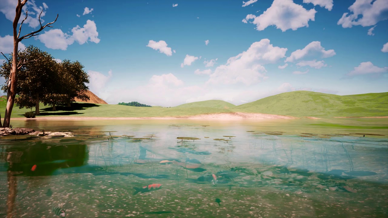 (EXNA) Expansion Natural 1 hour sounds of the relaxing ( LAKE ) - YouTube