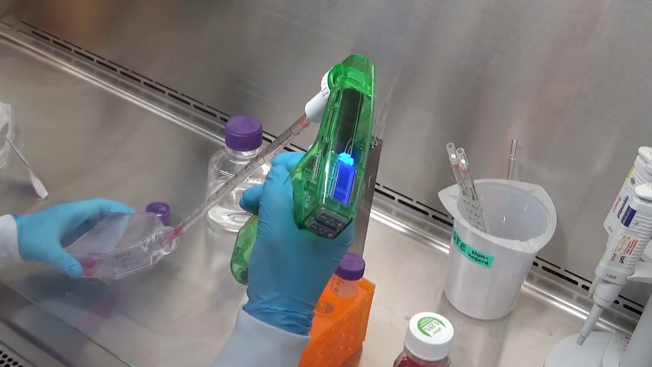 Lab Skills Training Video Part 2: Passaging Adherent Cells - YouTube