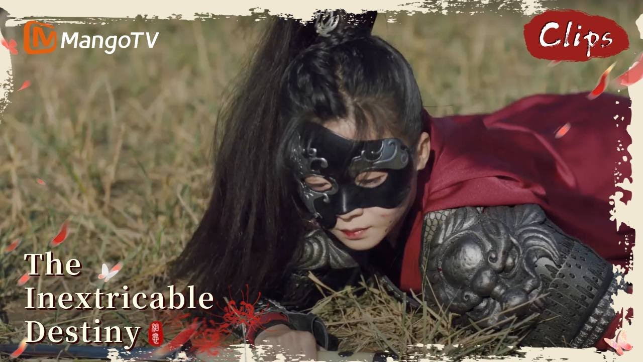 【ENG SUB】 《The Inextricable Destiny》Oh No! They are in danger!｜#烬相思 ...