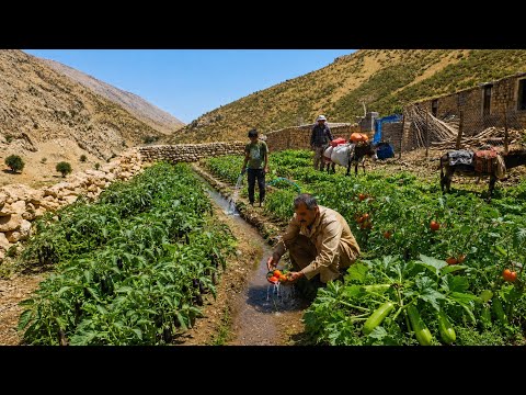 🍅🍆Fresh Farm: Mountain Garden Life 🏡 | Nomad Man Irrigates Crops💦 & Harvests Fresh Vegetables 🥬🫜