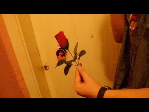Polislerin işi - Burak'tan Begüm'e Romantik Gül Verme !
