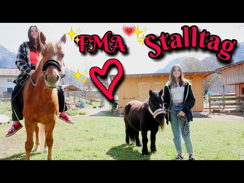 FMA - Stalltag | Ausritt mit Huzule & Shetty | Pferde im Fellwechsel ...