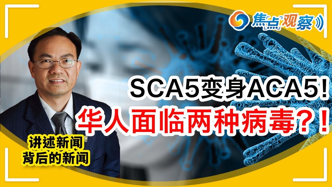 SCA5变身ACA5 加州华人将面临两种病毒 ?！ 邓洪说新闻：SCA5 尚未远去 ACA5汹涌而来 华生进名校将难上加难 种族歧视犹如新冠 ...