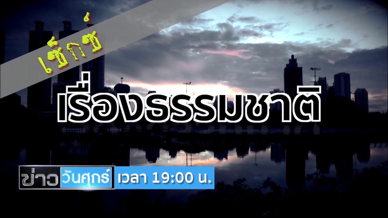 Sex ในสวน ข่าววันศุกร์ One31 Youtube