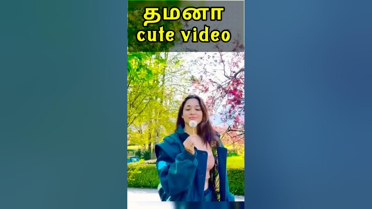 😍தமனா Latest Cute Video 😍 Shorts Viral Trending Shortsvideo Shortvideo Shortsfeed Vibe