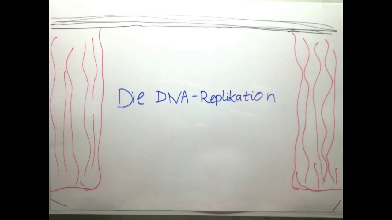 Die DNA-Replikation (Poetry Slam) - YouTube