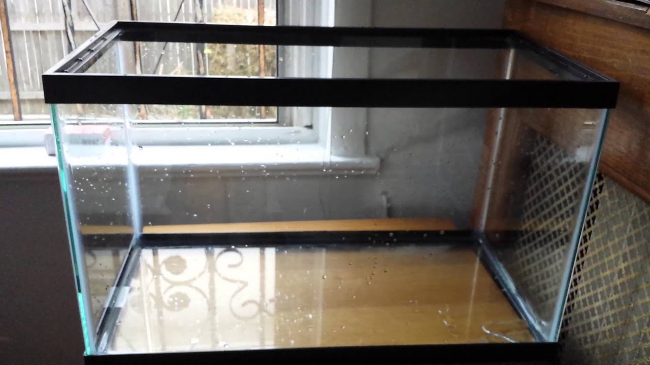 How to set up a fry tank - YouTube