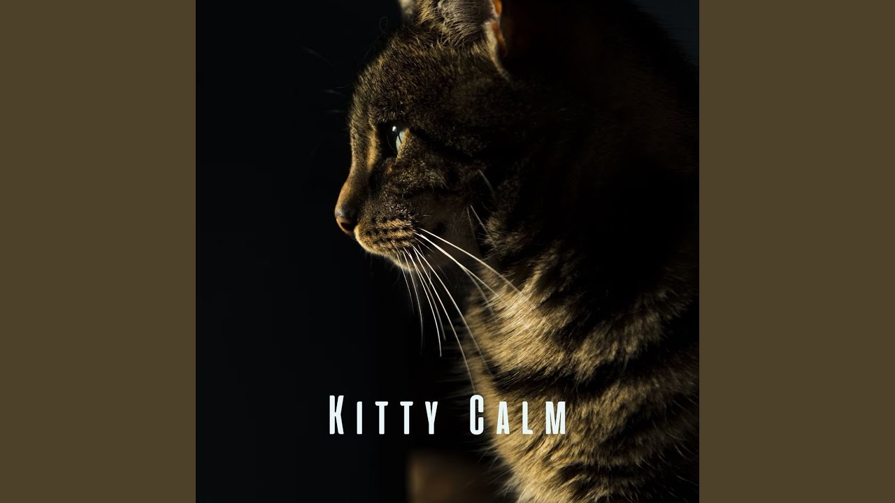 Kitty Dreamscape - YouTube