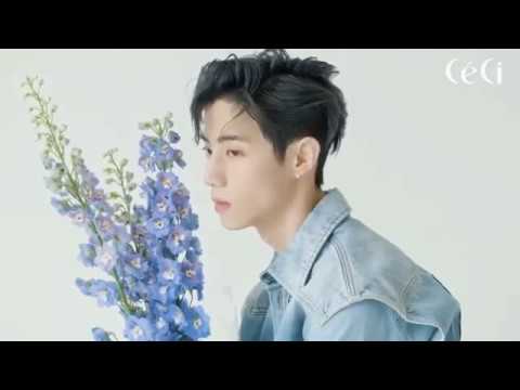 [FMV]Mark Tuan-Willows