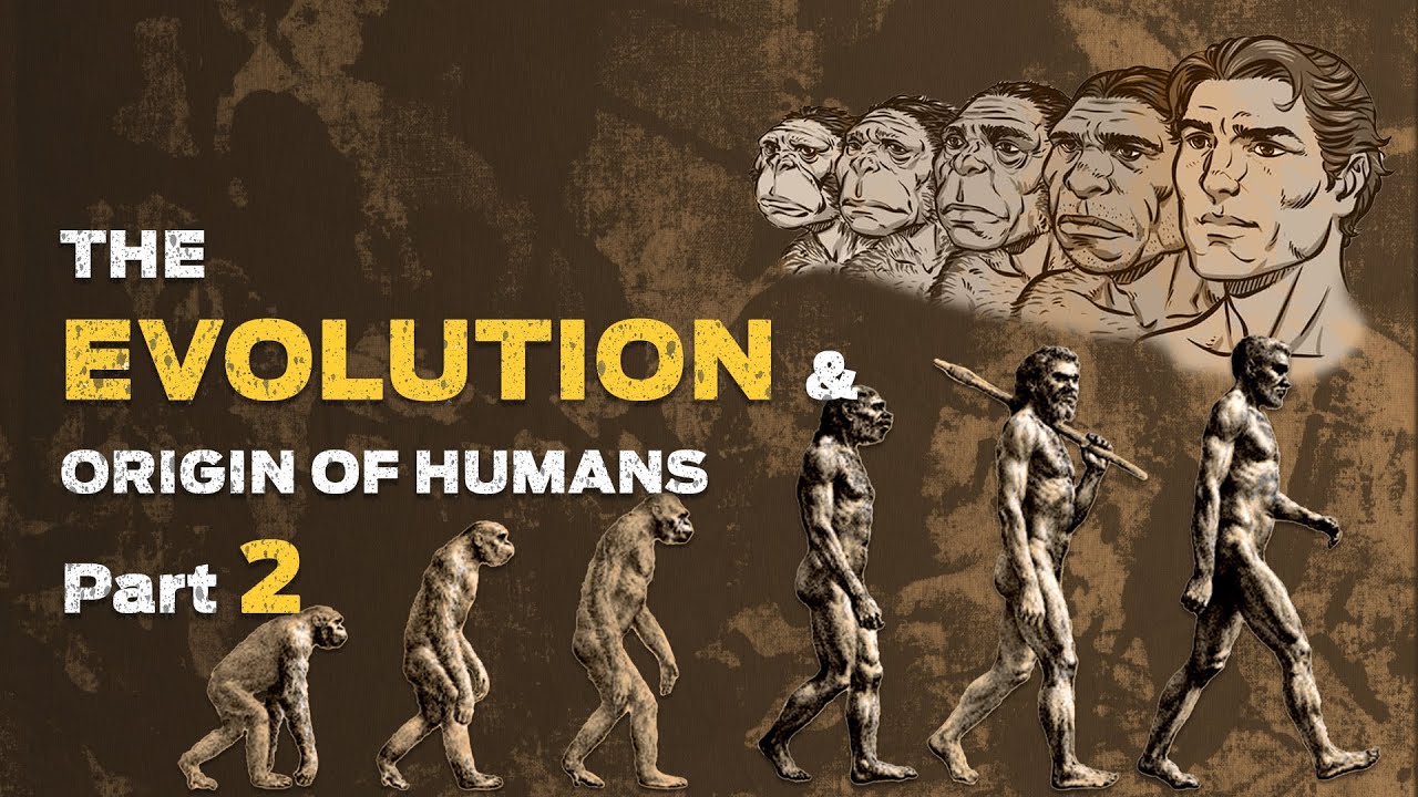The Evolution and Origin of Humans | 6 million years of Our Story ...