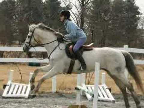 We Fly High Sterling Silver Thoroughbred