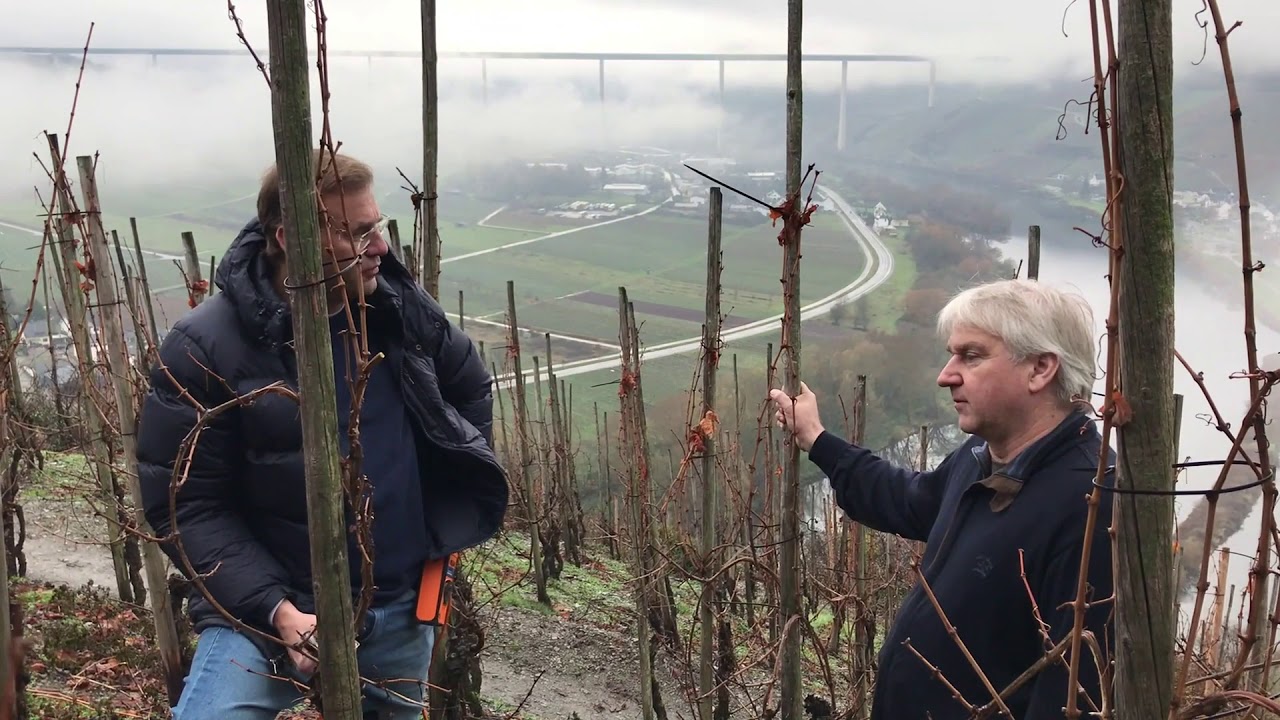 Weinreise mit Stephan und Ingo - YouTube