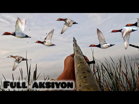 [ULUABAT GÖLÜ] [ÖRDEK AVI] [YER-GÖK] [ÖRDEK] [MÜTHİŞ ÖRDEK ÇALIŞTI] [DUCK HUNTİNG.] 