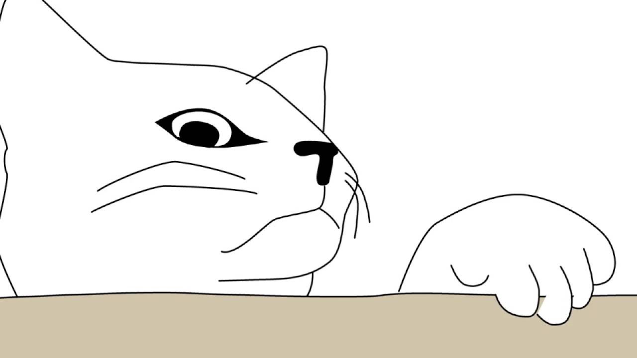 Cat Animation // Tatiana Kharitonova, Summer Animation short course ...
