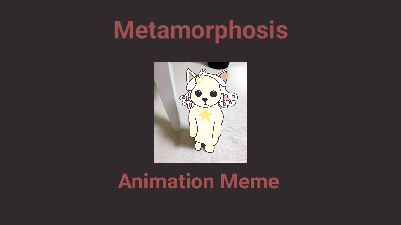 Metamorphosis||Animation Meme||FlipaClip - YouTube