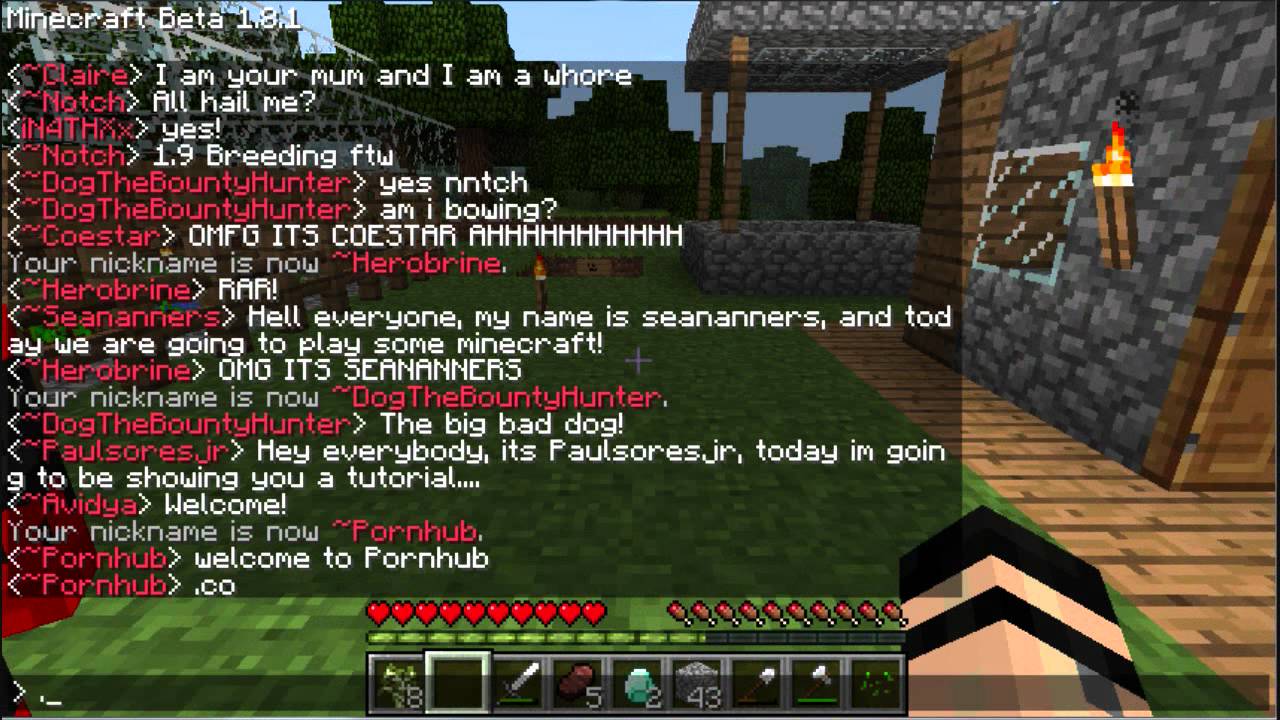 My Minecraft Server - Funny Randomness - HD - YouTube