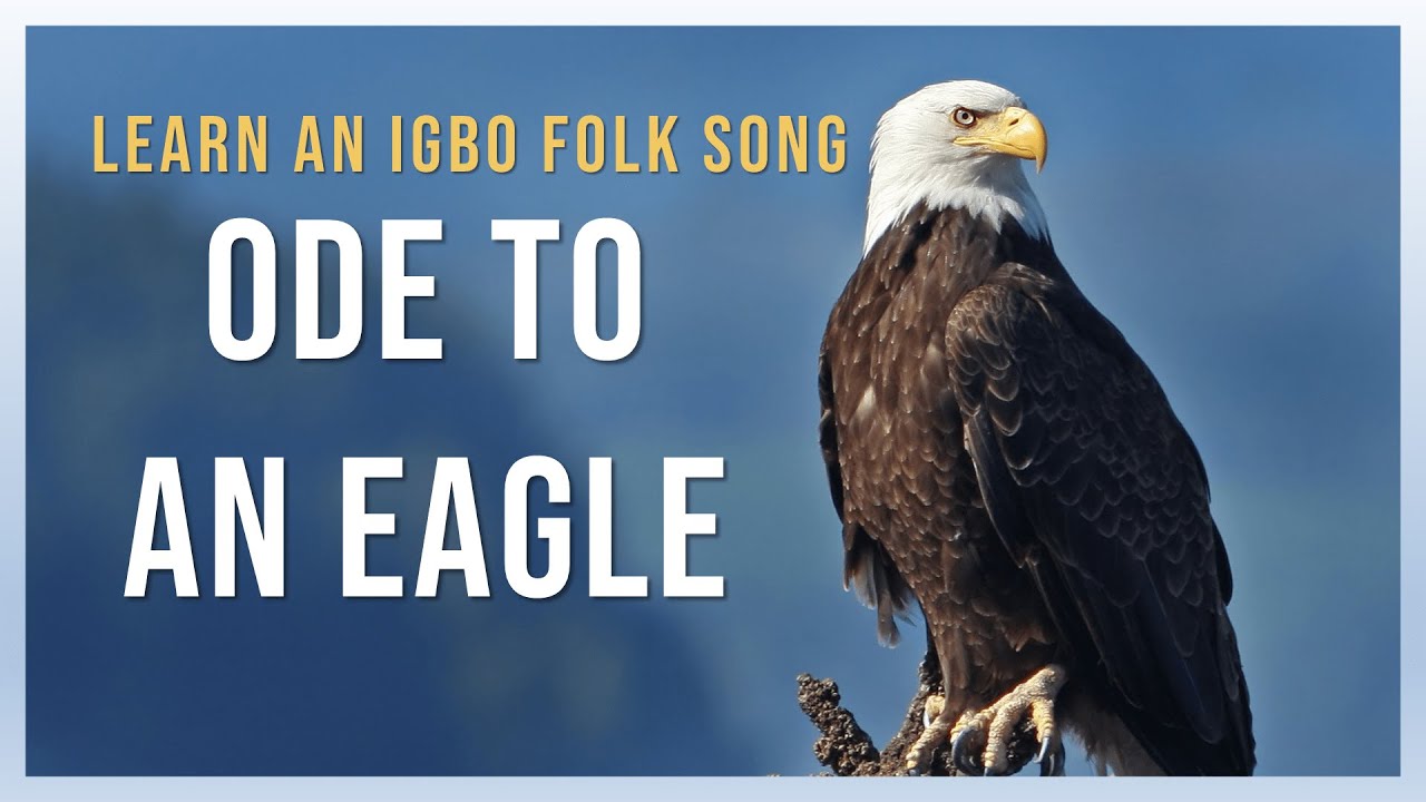 Learn an Igbo Folk Song | Otuto Ugo - Ode to an Eagle | Igbo language ...
