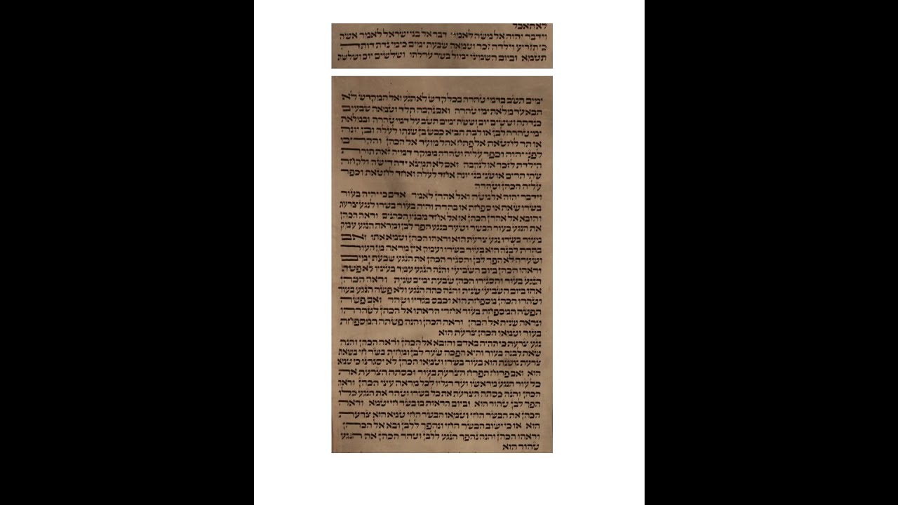 4th Aliyah, Lev 13,4-5 - YouTube