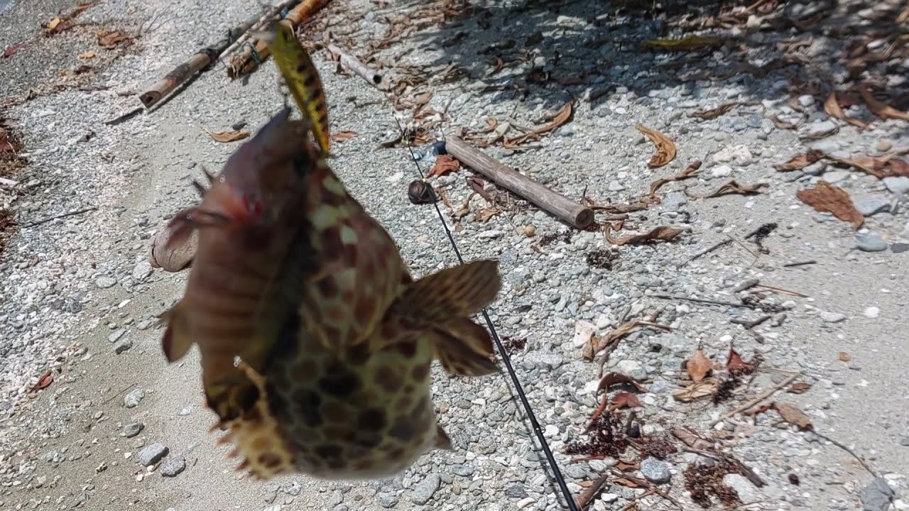 Ep.01 1lure 2fish/beginner - YouTube