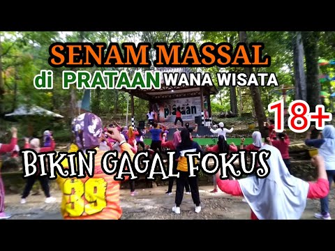 BIKIN GAGAL FOKUS | Senam AEROBIC di Prataan Wana Wisata