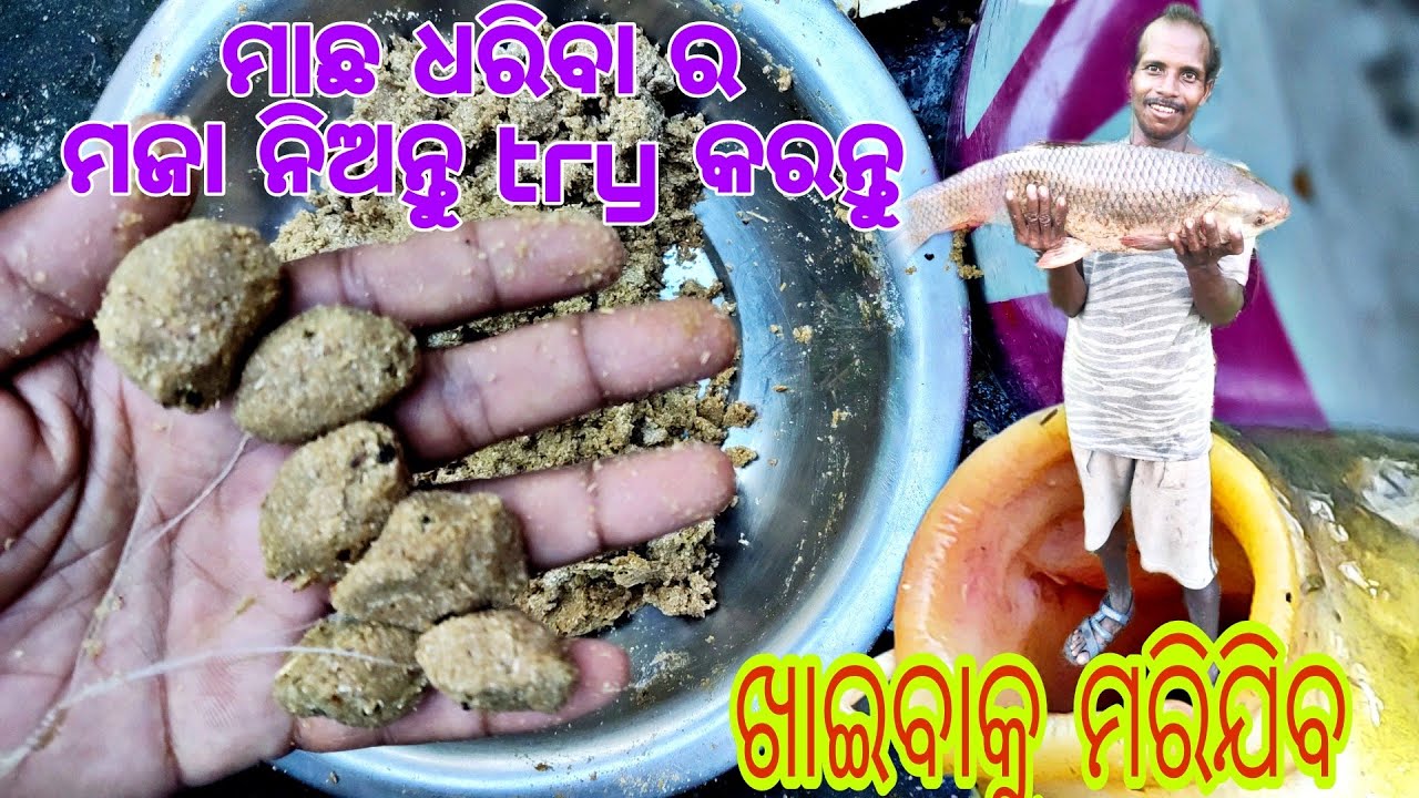 how to make rohu,katala,meregel, 3 in one fish bait, ରୋହି, ଭାକୁର ...