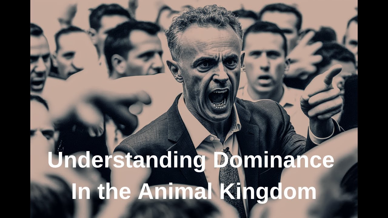 Hierarchy and Authority: Understanding Dominance in the Animal Kingdom ...