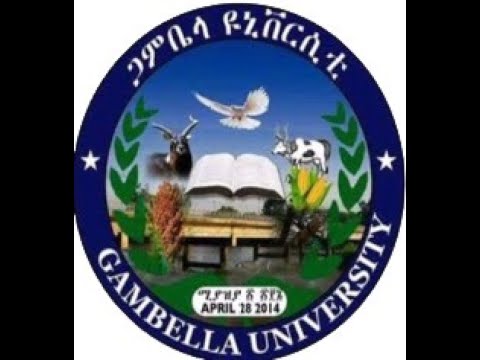 Gambella university first bach computer science video2Eyob - YouTube