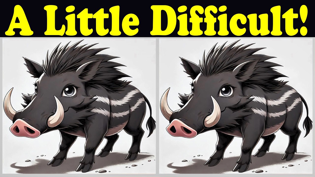 Spot the Difference: Can You Find All the Differences? 🕹315 (a Little Difficult ) - YouTube