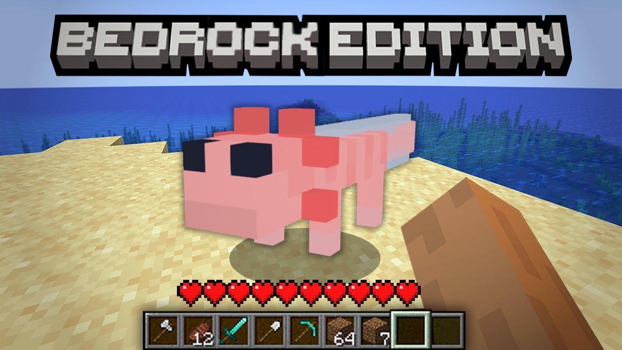 I played the WORST Minecraft version... - YouTube