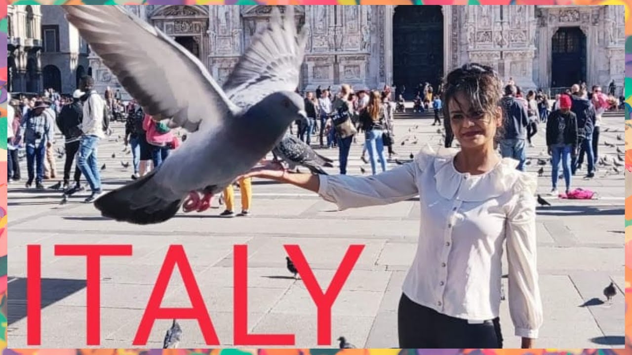 My friendship of one month with these pigeons in Italy became immortal ...