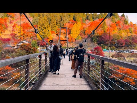 4K Walk Japan - Virtual Walk Japanese Beautiful Mountains Area Autumn ...