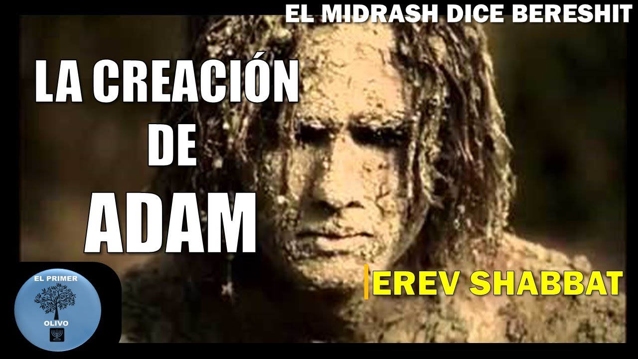 EL MIDRASH DICE BERESHIT | La Creación a ADAM | El primer Olivo | Como ...