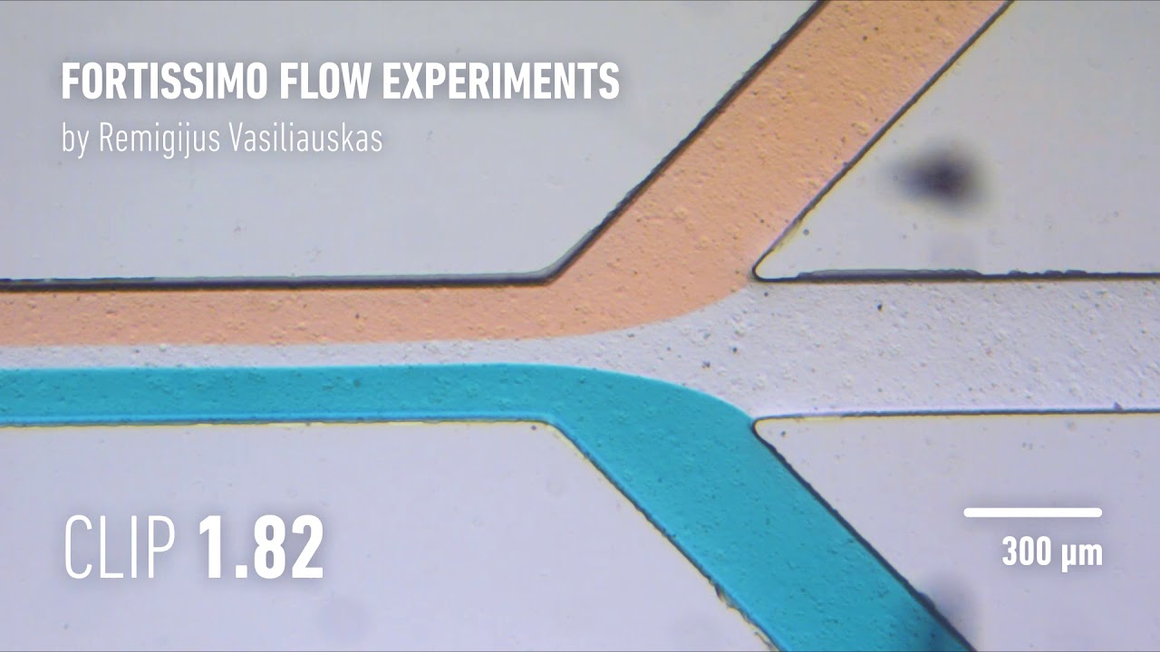 Fortissimo flow experiments - YouTube