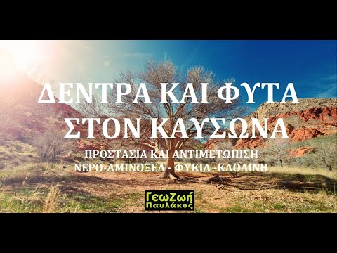 ΓΕΩΖΩΗ - ΔΕΝΤΡΑ ΚΑΙ ΦΥΤΑ ΣΤΟΝ ΚΑΥΣΩΝΑ - ΑΜΙΝΟΞΕΑ ΦΥΚΙΑ ΚΑΟΛΙΝΗ - YouTube