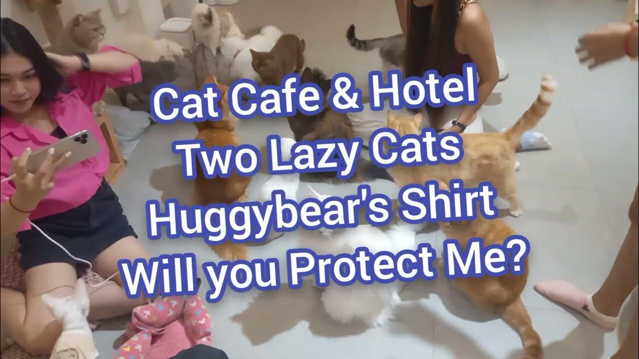 Mister J Visits a Cat Cafe and Hotel * Two Lazy Cats * Huggybear's Shirt * Will the Cat Protect ...