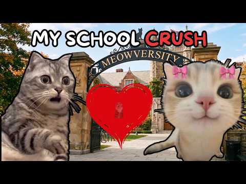 MY SCHOOL CRUSH | CAT MEME