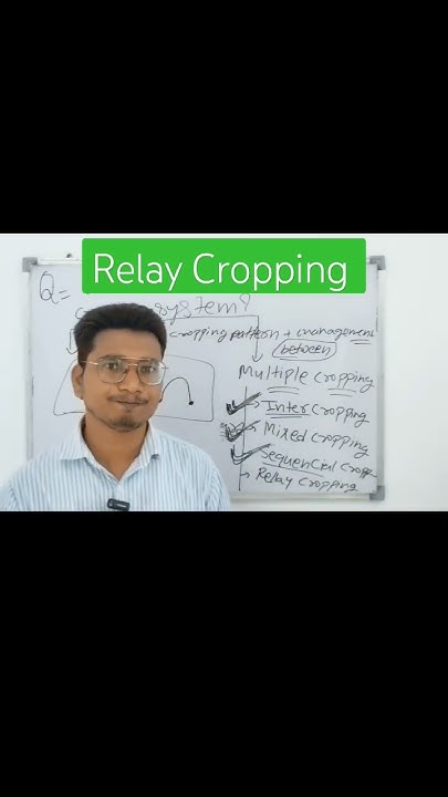 Relay cropping || Overlapping cropping - YouTube