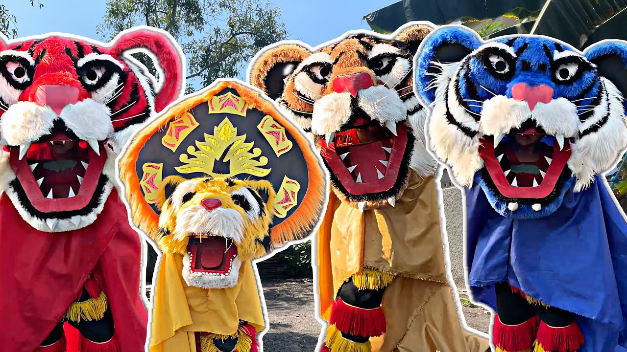 BARONGAN MACAN MERAH,MACAN BIRU,MACAN COKLAT,KUCING KUNING MAKAN TELUR ...
