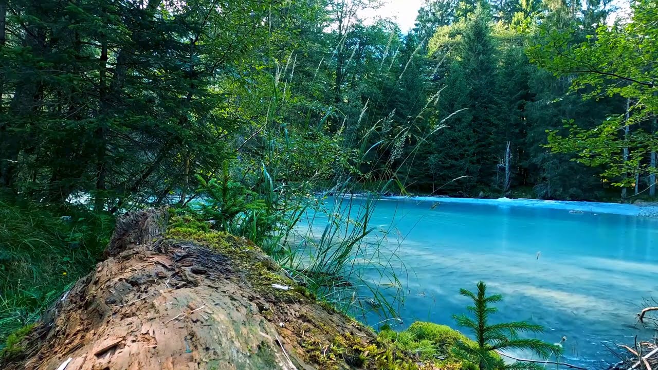 Calming Turquoise River in the Forest Relaxing Sounds. (10 hours ...