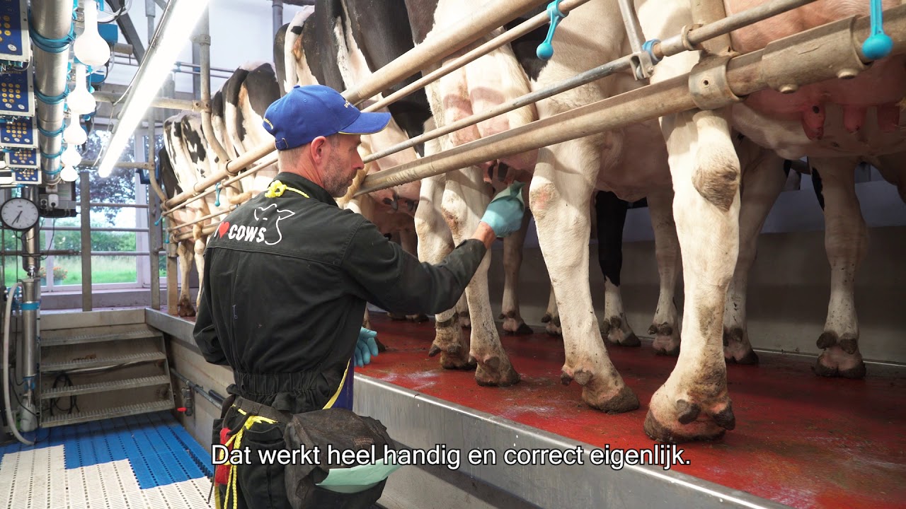 Dairymaster 18-stands Swiftflo Swing-Over - Mortier Belgium - YouTube