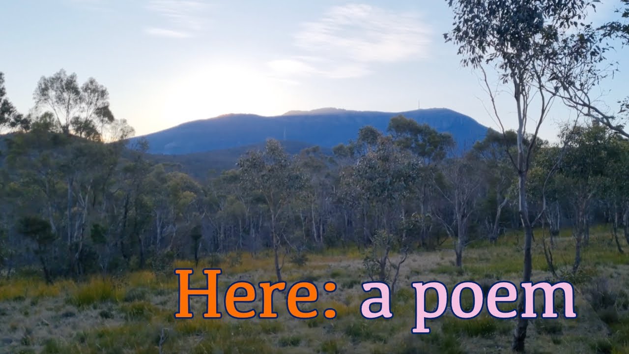 Here: Wilderness poetry in nipaluna/Hobart bushland - YouTube