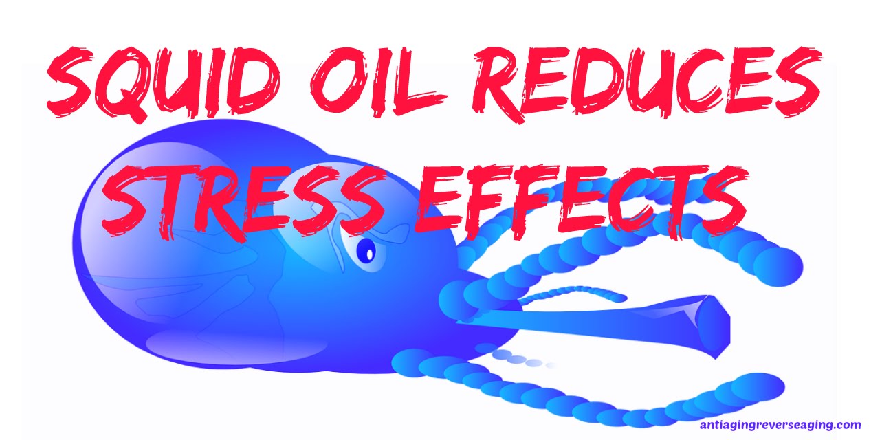 Squid Oil Reduces Stress Effects & Why - YouTube