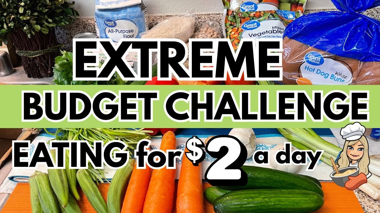 EXTREME GROCERY BUDGET CHALLENGE with MEALS - YouTube